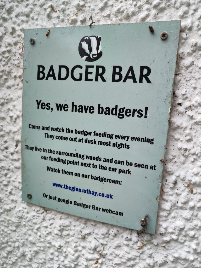 Badger Bar, Rydal🏴󠁧󠁢󠁥󠁮󠁧󠁿